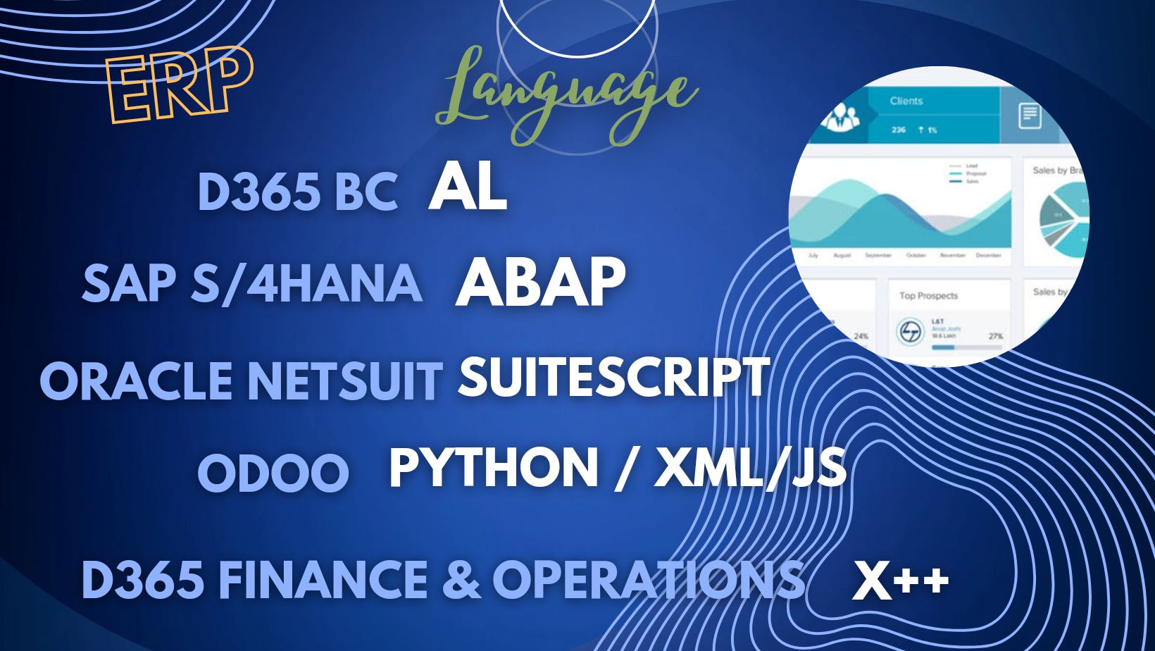 few Examples of ERP programming Languages - Openmind Connect
